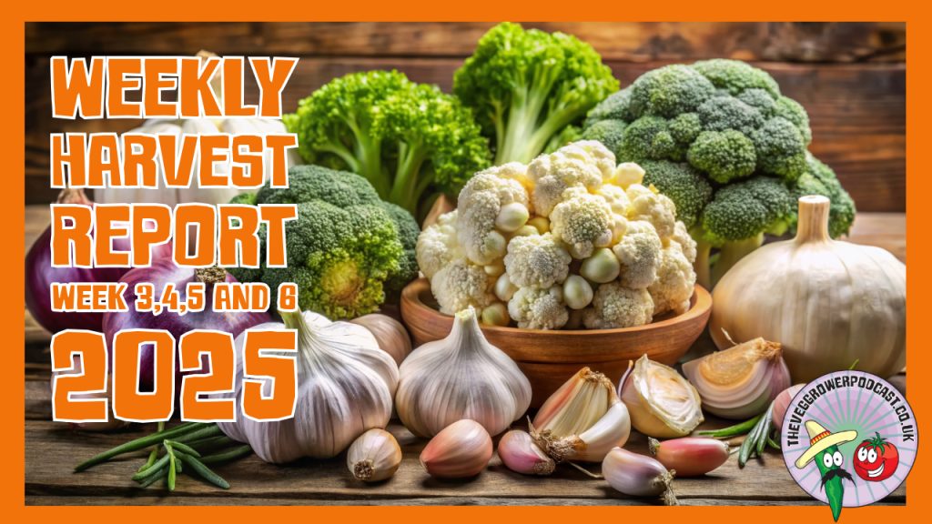 Weekly Harvest Report: Weeks 3, 4, 5, and 6 of 2025 - The Veg Grower ...